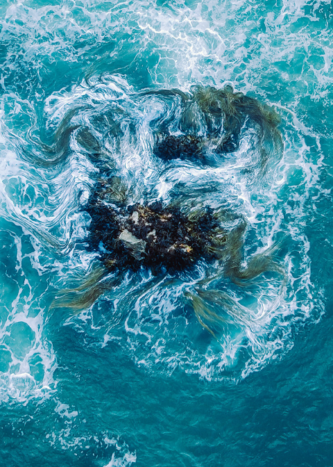 The Face in the Whirlpool | Poets & Writers