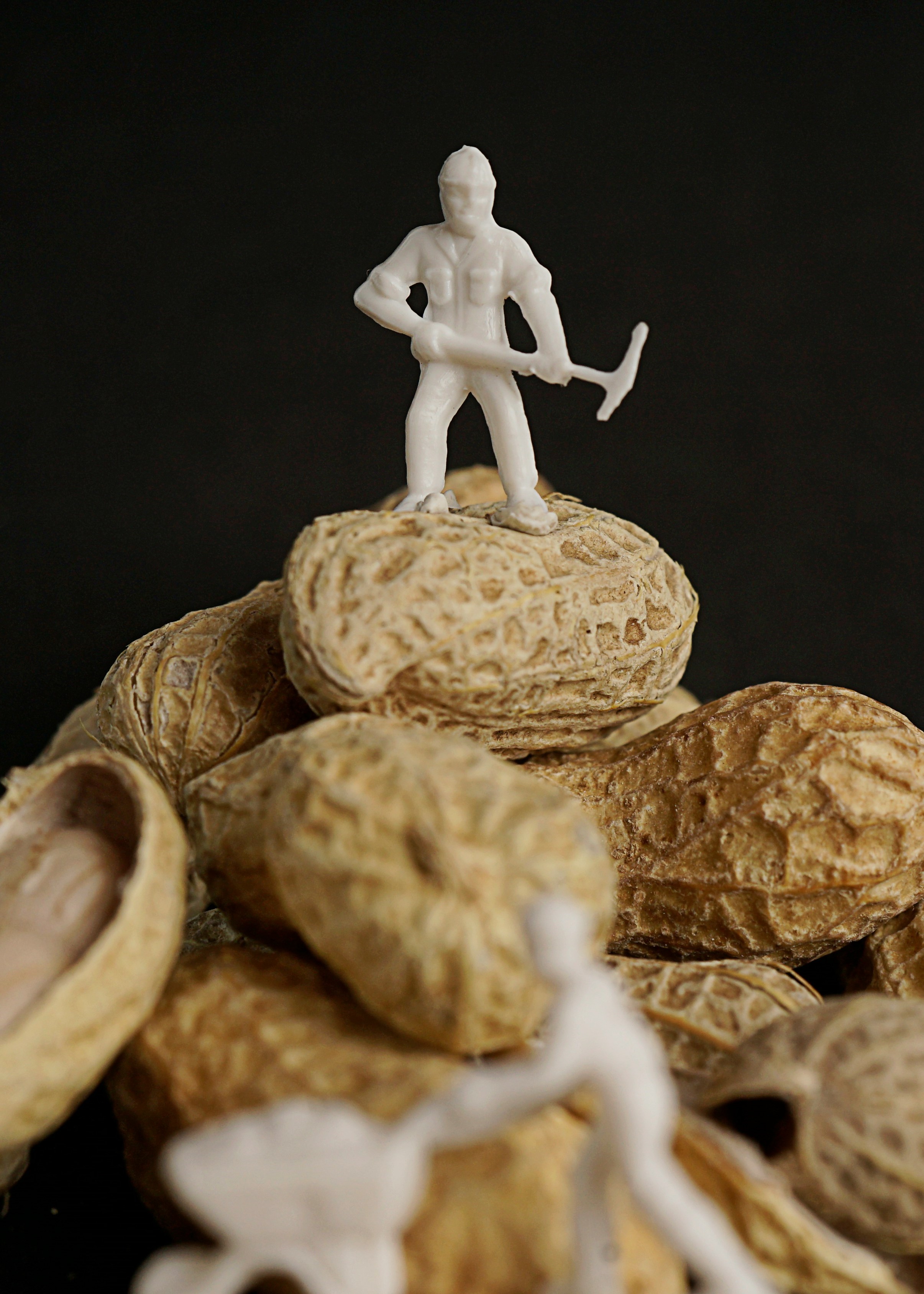 Nutty Fever Dream | Poets & Writers